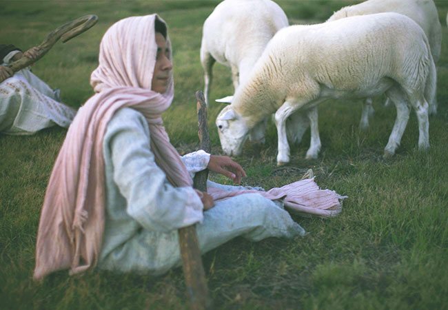 Better Than the Best Shepherd Imaginable - Crossworld